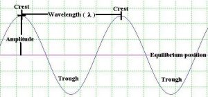 Transverse Waves – L.R. Ingersoll Wonders of Physics Museum – UW–Madison