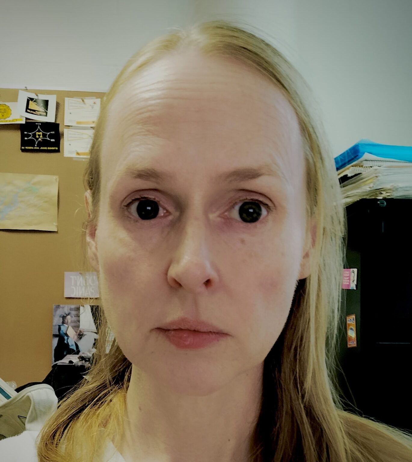 Everett, Lisa L – Department of Physics – UW–Madison
